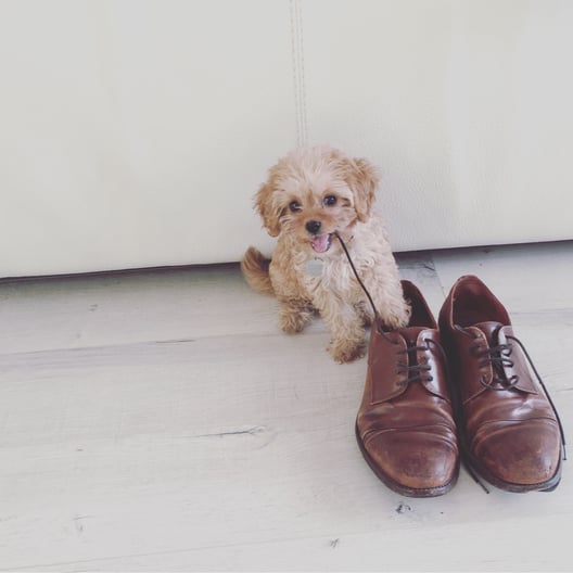 5 minutes with Clare Burman